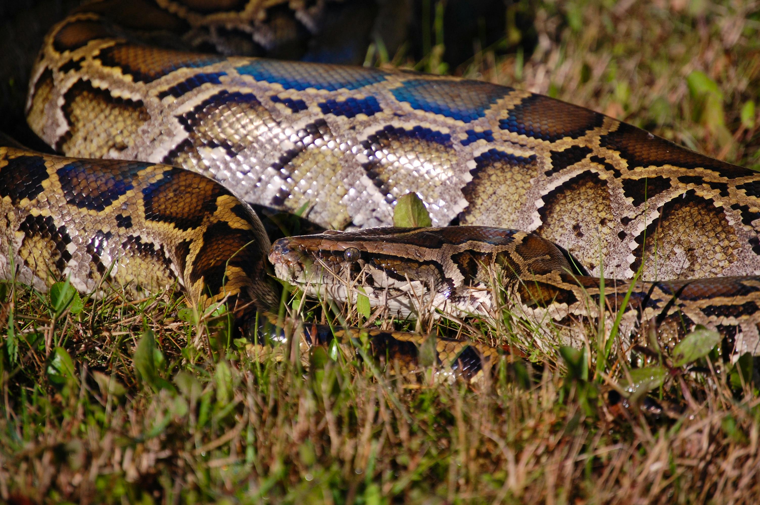 Defenders Work | Defenders of Wildlife