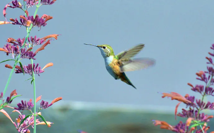 United by the Wilds: What Nature Means to Defenders of Wildlife ...