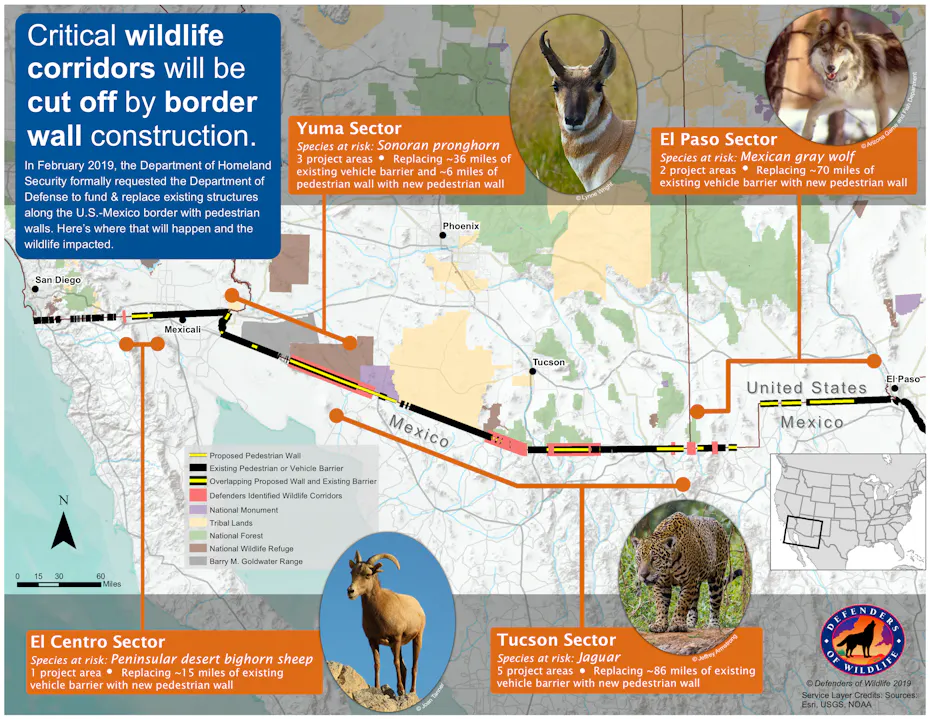 Keeping Up with the Border Wall | Defenders of Wildlife