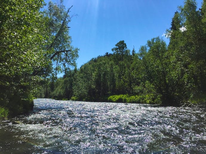 Protecting the Russian River | Defenders of Wildlife