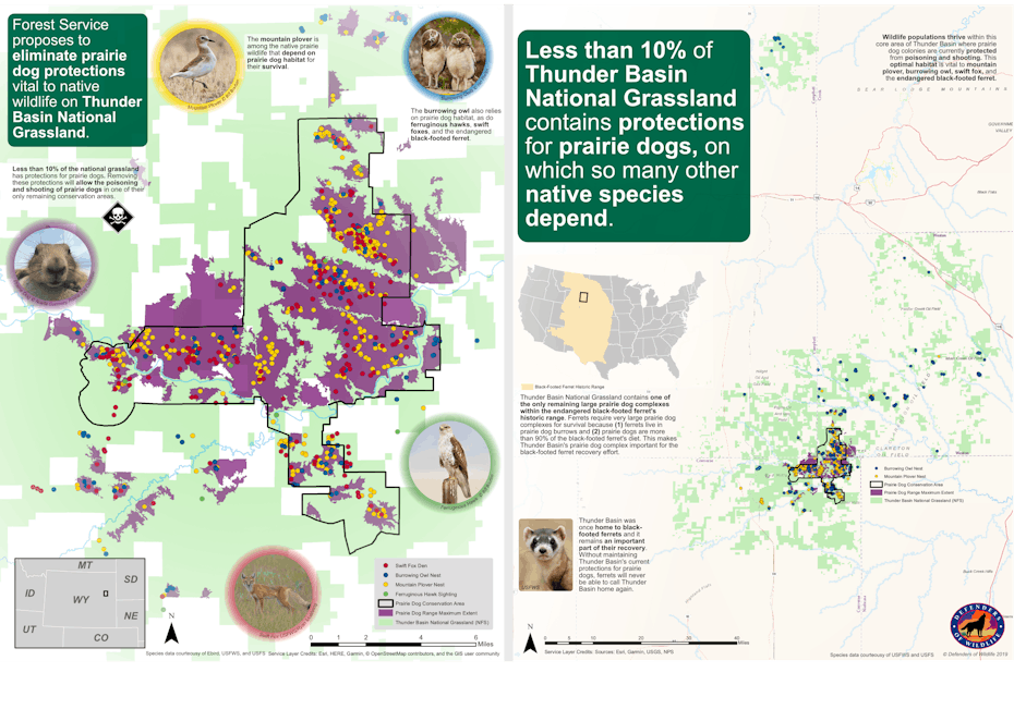 Thunder Basin National Grassland | Defenders of Wildlife