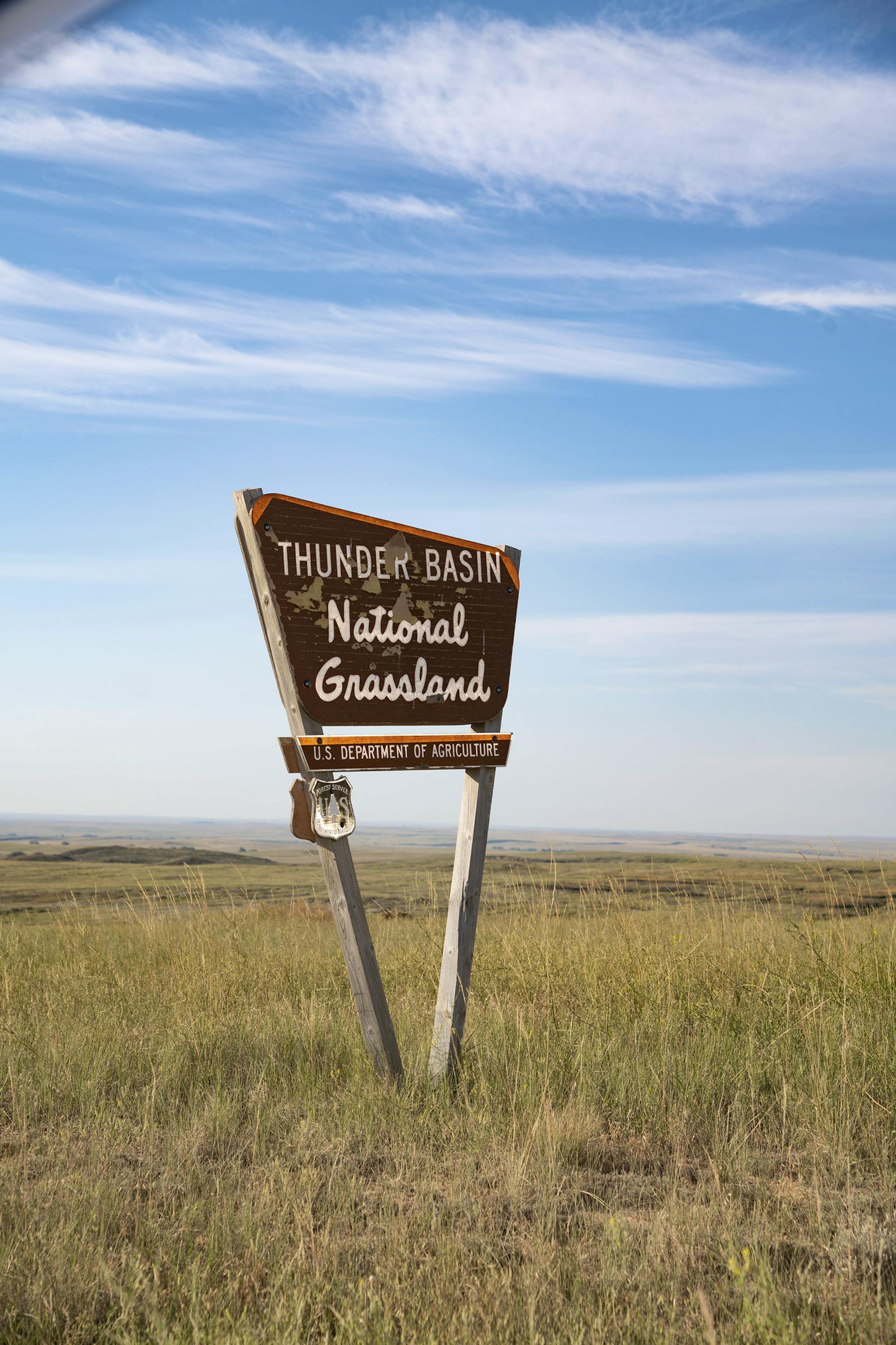 The Wild Ferret of the Plains Needs Wyoming’s Thunder Basin | Defenders ...