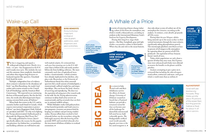 Wild Matters | Defenders of Wildlife