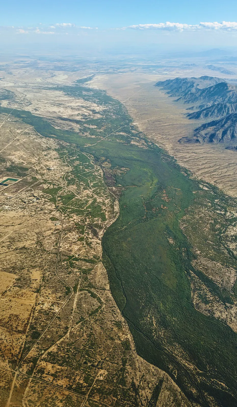 The Gila River: The Southwest’s Threatened Eden | Defenders of Wildlife