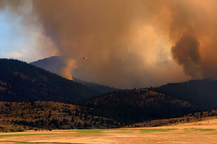 All is Not Lost Yet: Saving Oregon’s Forests from Another Wildfire ...