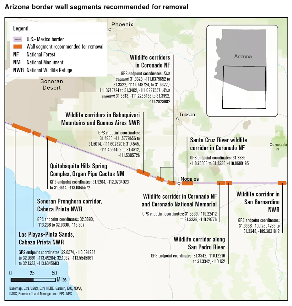 Take Down the Wall to Protect Imperiled Species | Defenders of Wildlife
