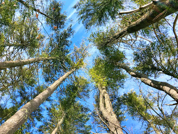 An Open Letter to the Future Women in Conservation | Defenders of Wildlife