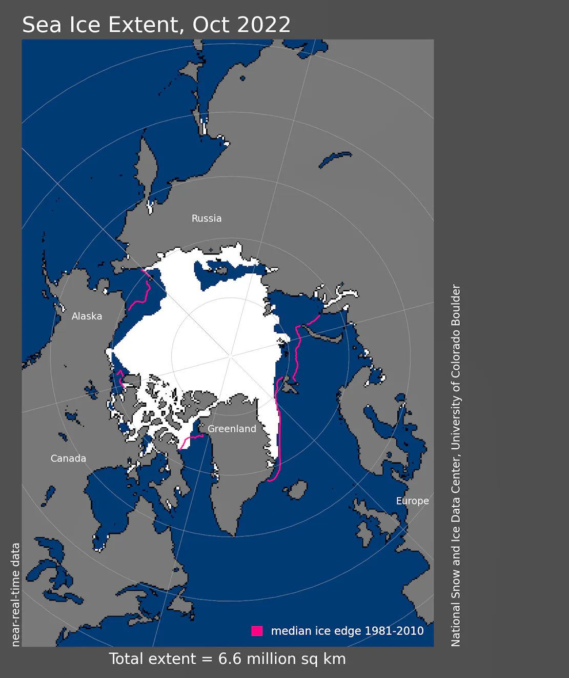 Polar Bears Affected by Climate Change | Defenders of Wildlife