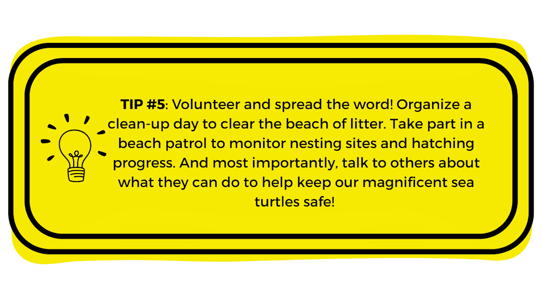 Five Steps to Help Five Sea Turtle Species | Defenders of Wildlife