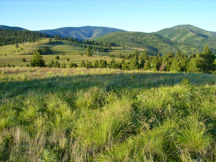 The Brilliance of the Plains Lies in the Animals and Their Homes ...