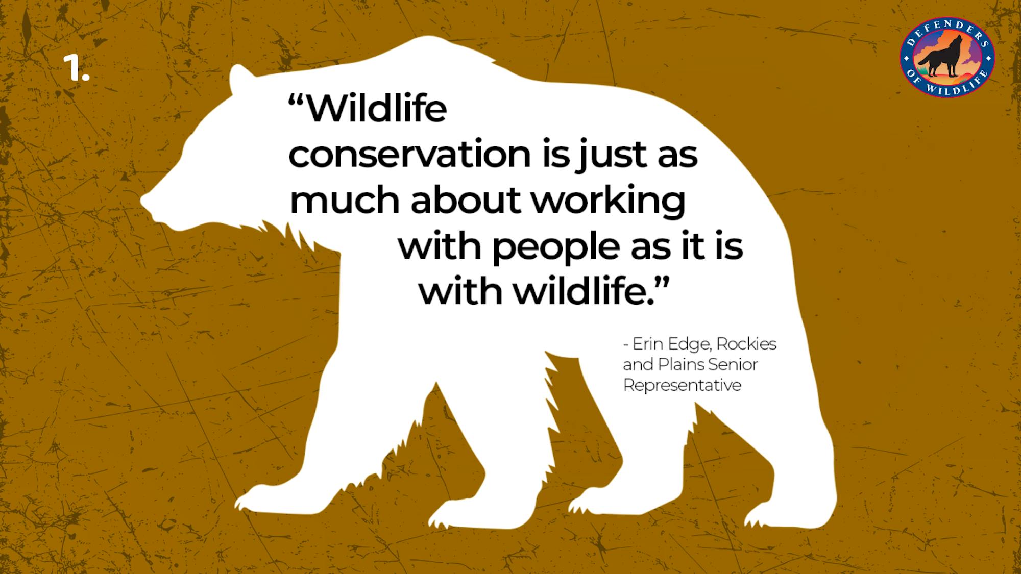 5 Facts About Wildlife Conservation | Defenders of Wildlife