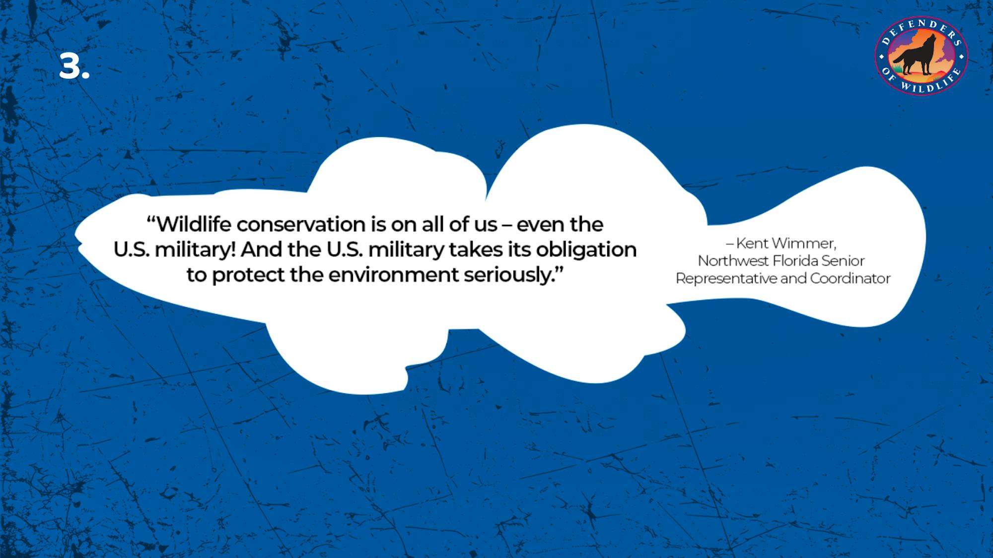 5 Facts About Wildlife Conservation | Defenders of Wildlife