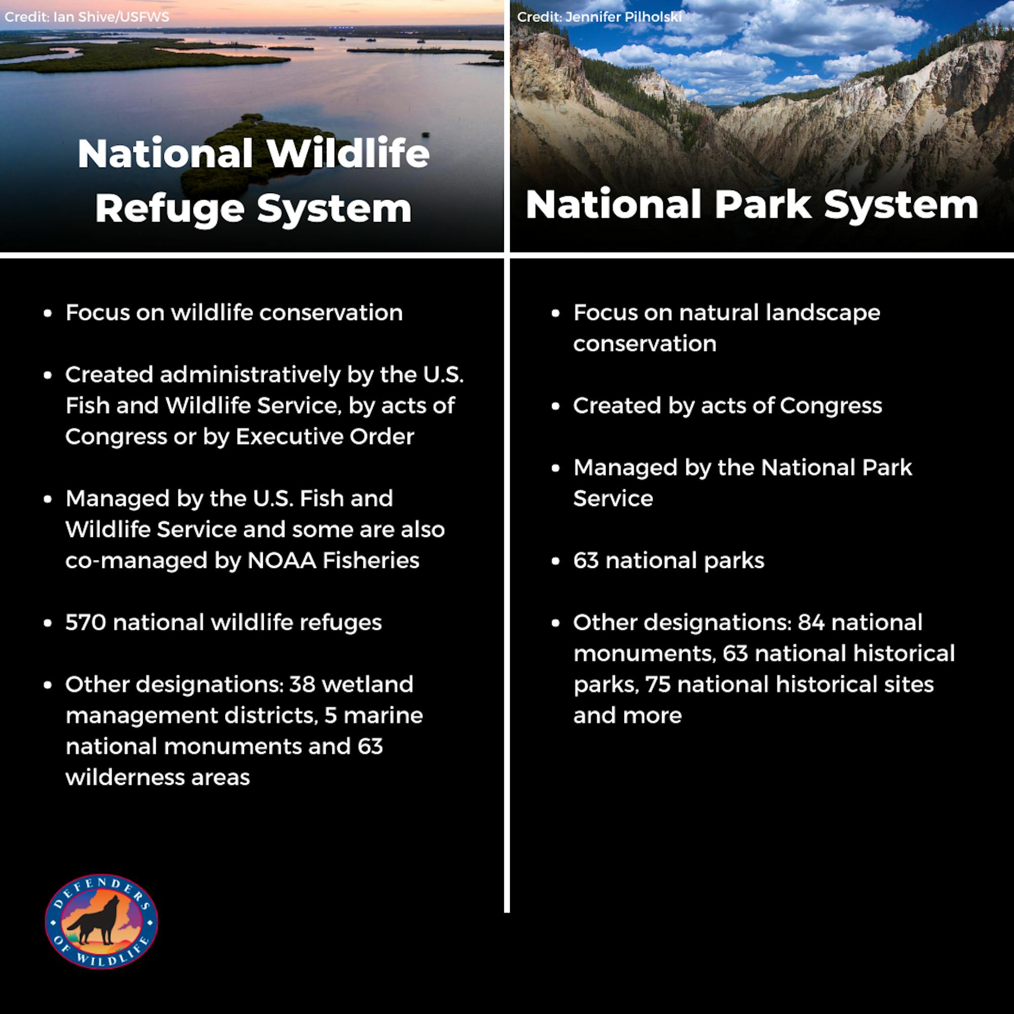 What Is the Difference Between a National Wildlife Refuge and a ...