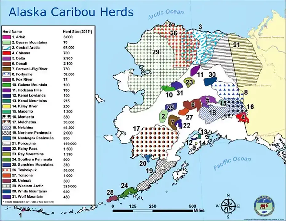 'Click' Through for Some Caribou Fun Facts | Defenders of Wildlife