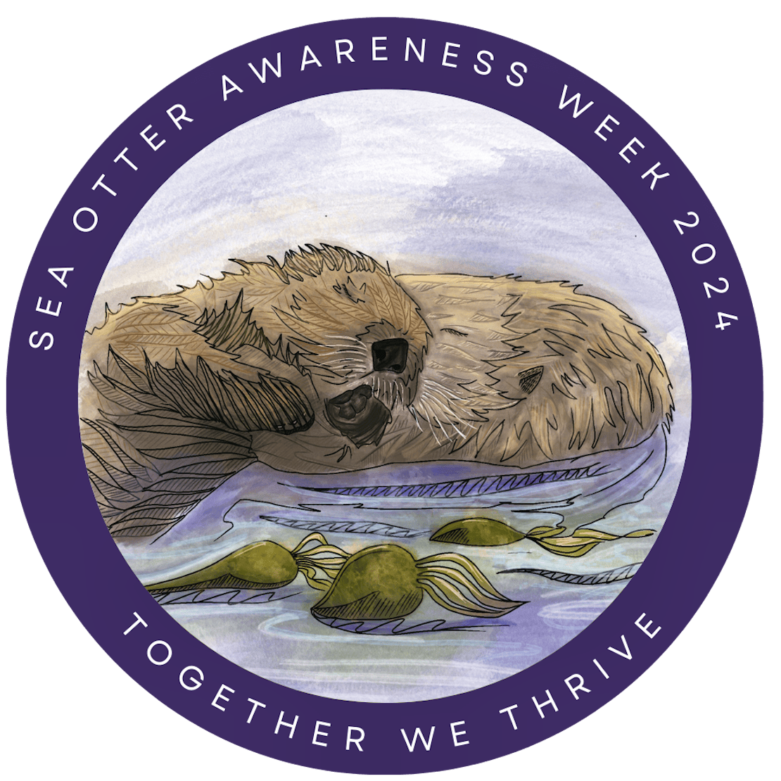 Sea Otter Awareness Week | Defenders of Wildlife
