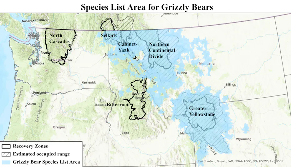 The History of Grizzly Bears and their Protections in the Lower 48 ...