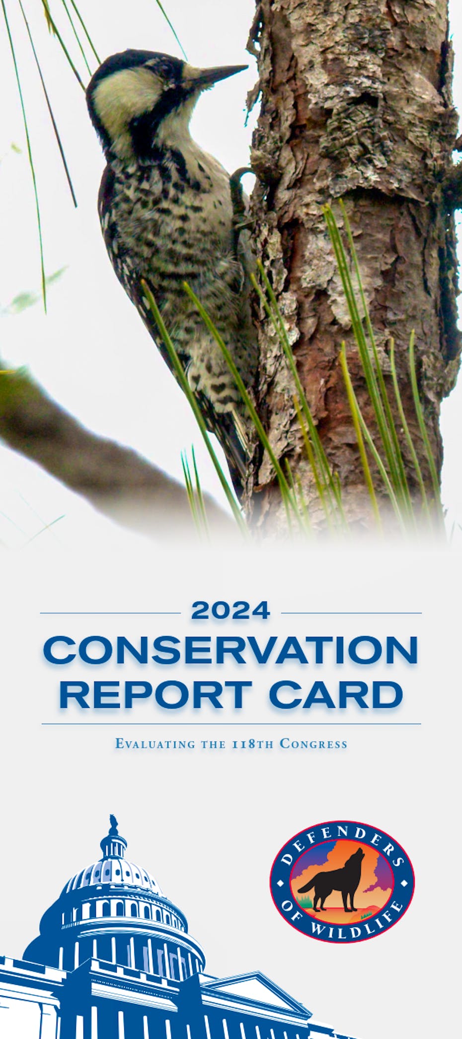 Conservation Report Card | Defenders of Wildlife