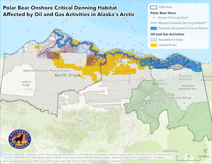 New Population Estimates Signal Trouble for Alaska’s Polar Bear ...