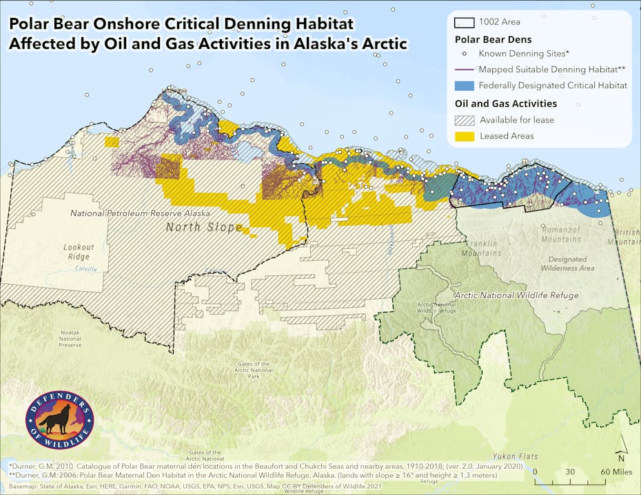 New Population Estimates Signal Trouble for Alaska’s Polar Bear ...