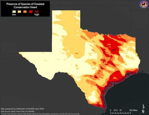 Using Maps to Track Migratory Birds Collisions in Texas | Defenders of ...