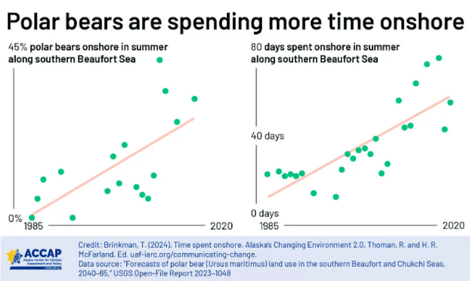 New Population Estimates Signal Trouble for Alaska’s Polar Bear ...
