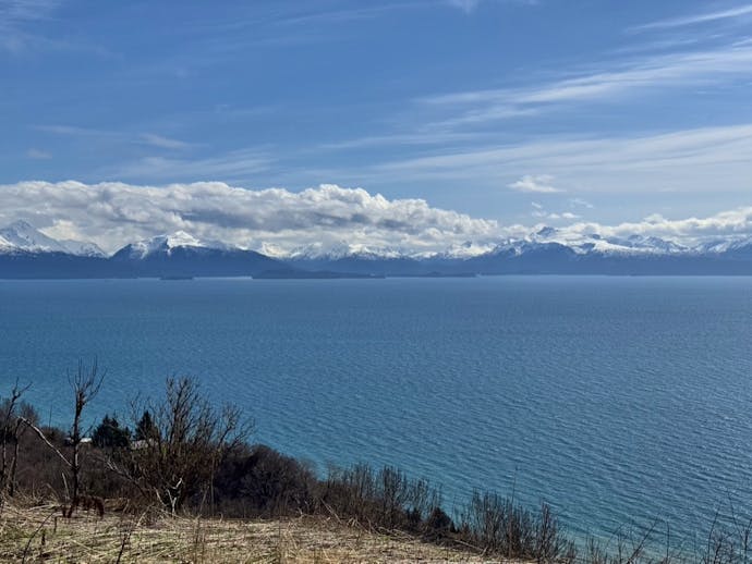 A Road Trip Around Alaska’s Kenai Peninsula | Defenders of Wildlife