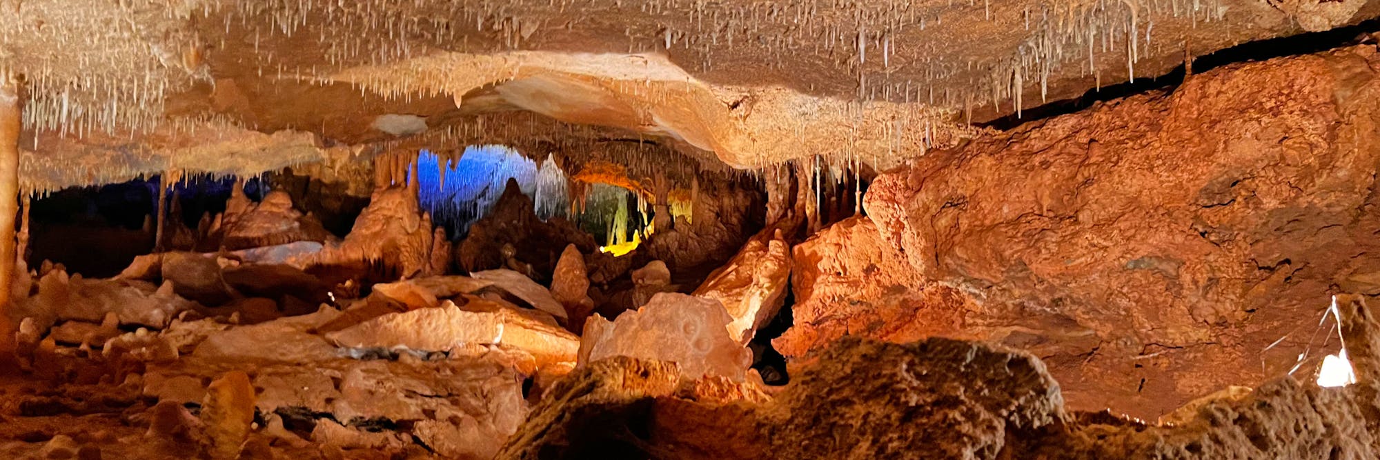 Freaky Aquifer Ghosts: The Weird Wildlife Beneath Texas | Defenders of ...