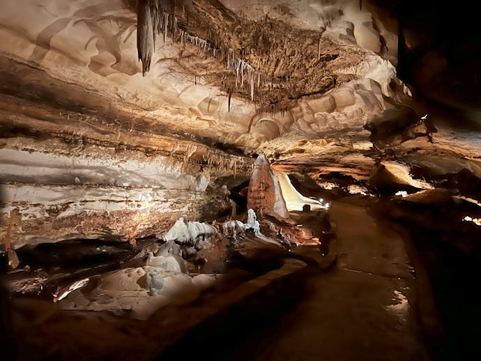 Freaky Aquifer Ghosts: The Weird Wildlife Beneath Texas | Defenders of ...