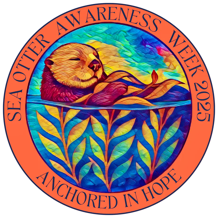 Sea Otter Awareness Week | Defenders of Wildlife