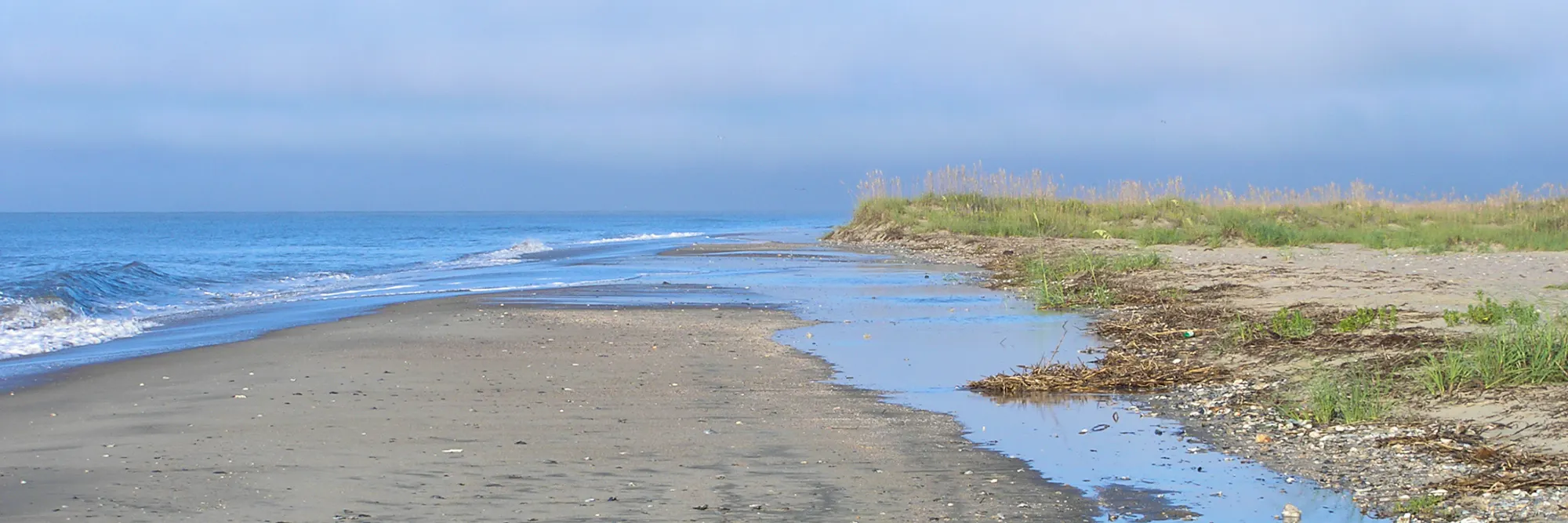 Traveling and Turtles in Cape Romain National Wildlife Refuge ...