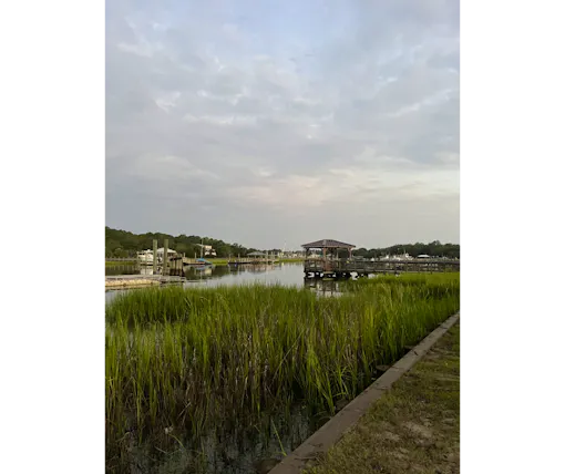 Traveling and Turtles in Cape Romain National Wildlife Refuge ...