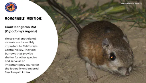 Top 13 Creepy but Cool Animals | Defenders of Wildlife