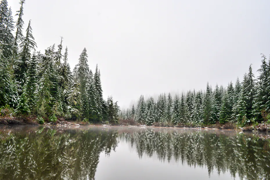 The Grinch Who Stole Public Land Protections | Defenders of Wildlife