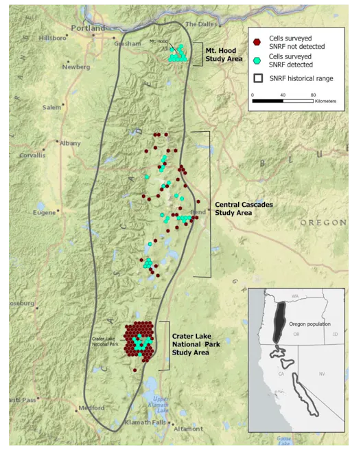 Tracking the Elusive Sierra Nevada Red Fox in Oregon | Defenders of ...