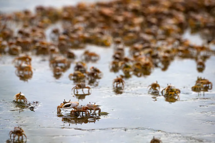A Love for Wildlife and the Earth: How the Marsh Created a ...