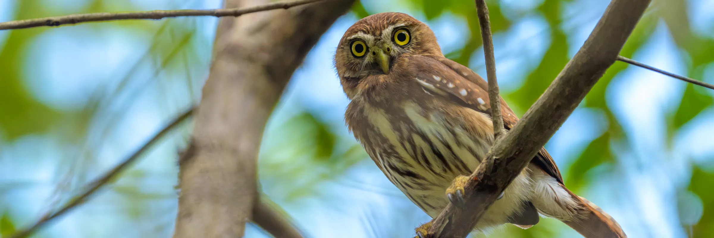 5 Ways Climate Change Affects Animals and How We Can Stop It ...