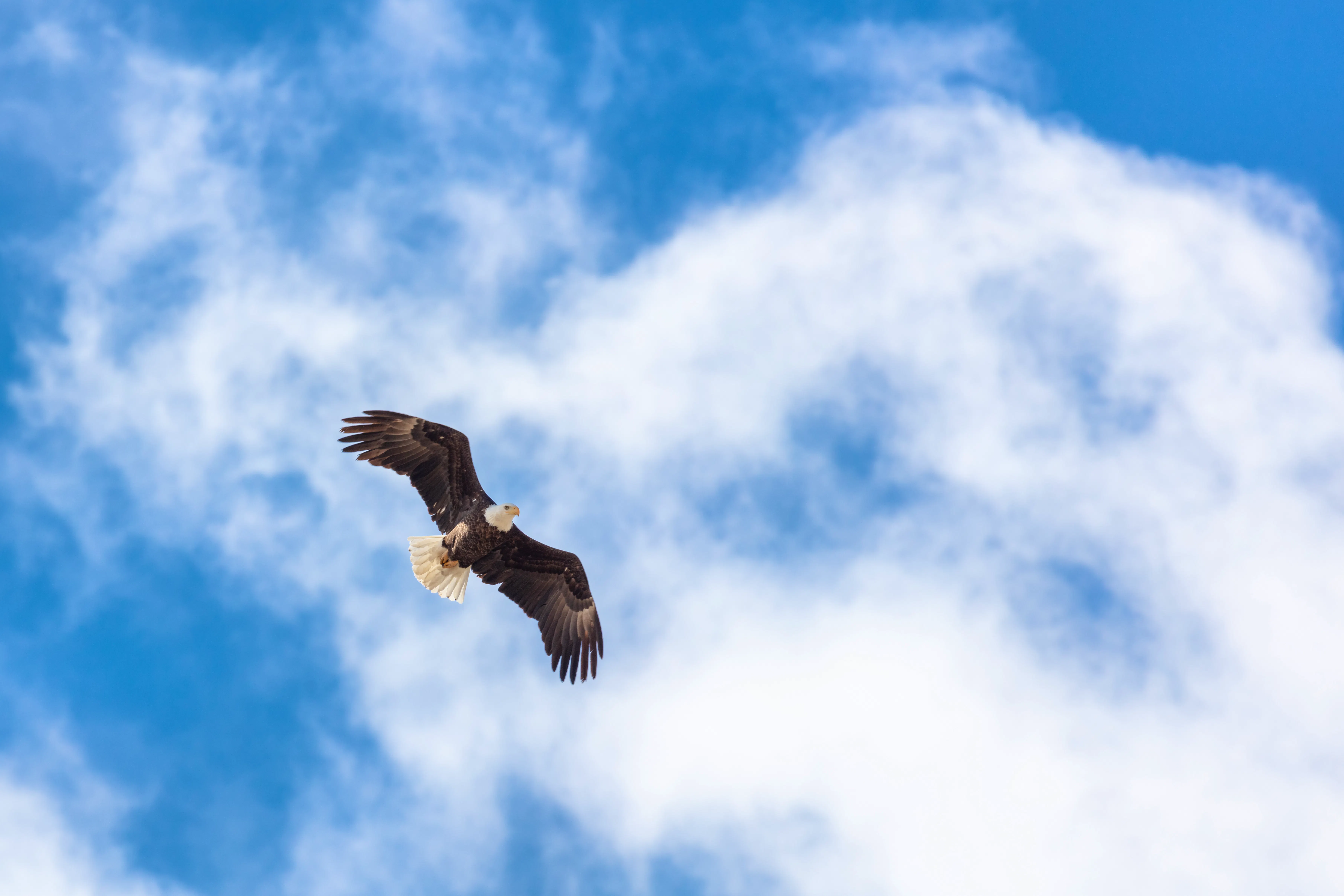 Final Rescission of Public Lands Rule Reverses Modern Land Management ...