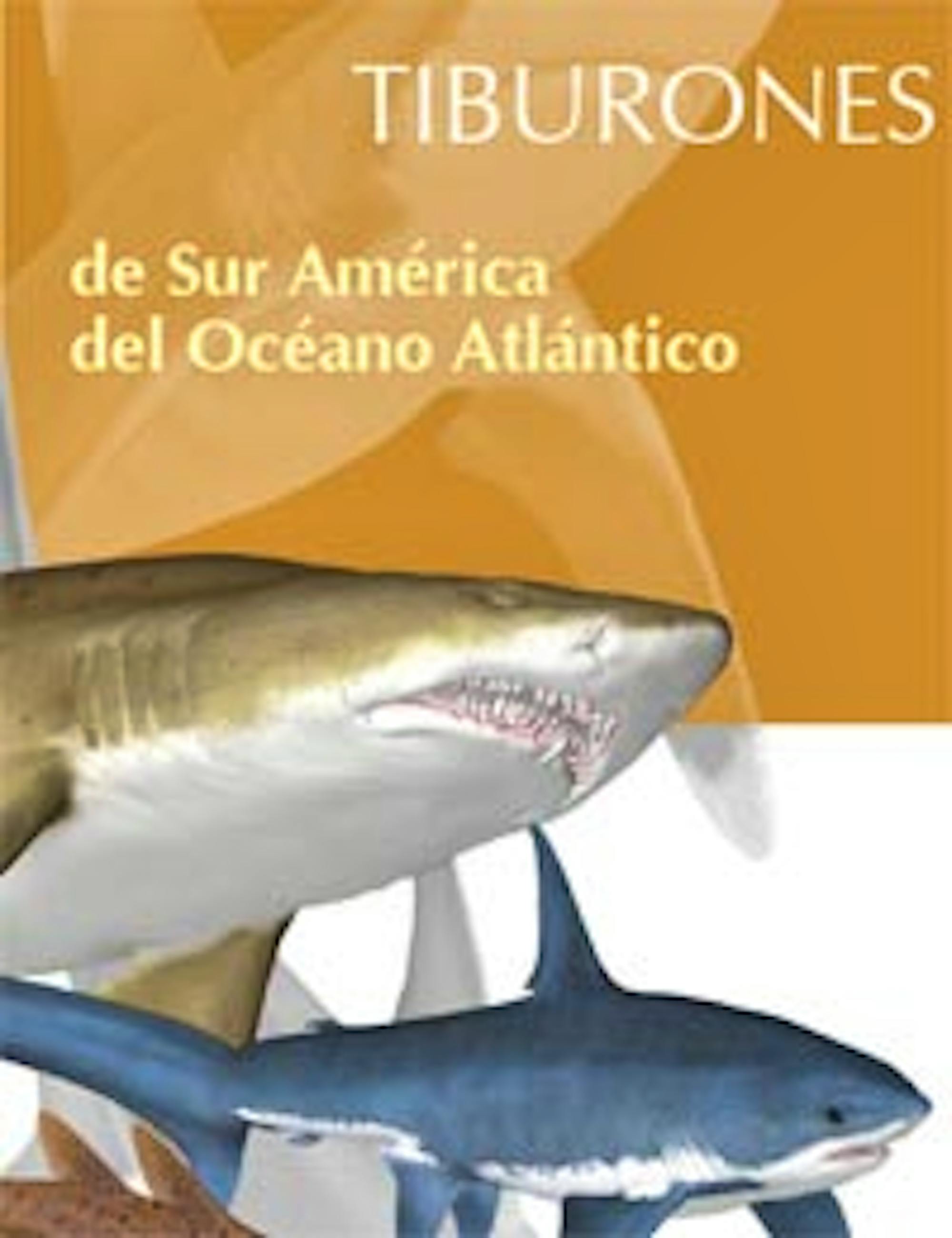 Shark identification guide for South America - Atlantic | Defenders of ...