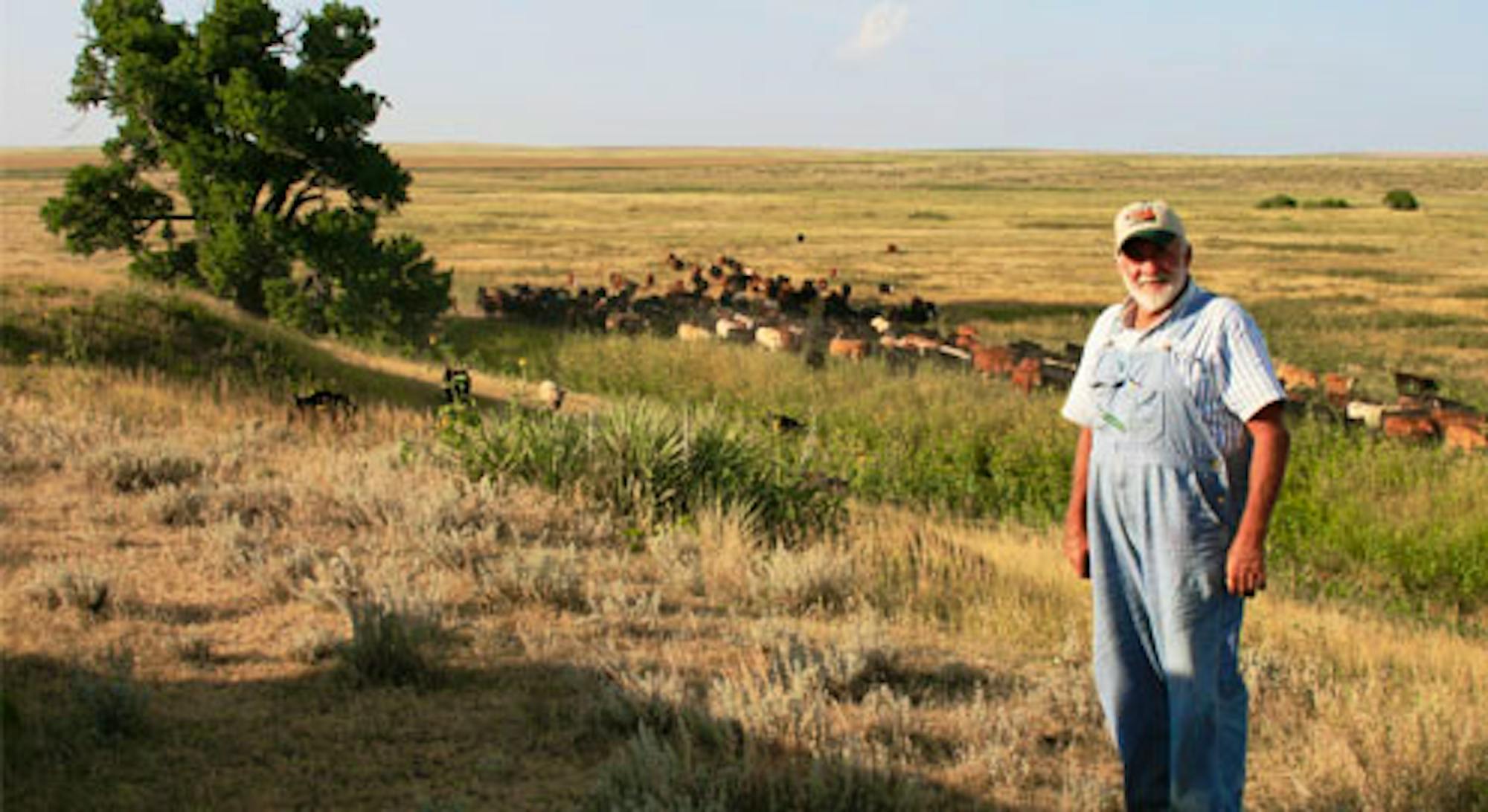 Larry Haverfield, Wildlife Hero: 1936-2014 | Defenders of Wildlife